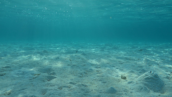 ROV First | Onder water. Onder controle.